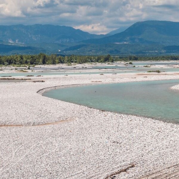 La filiera | Filiera Carni FVG