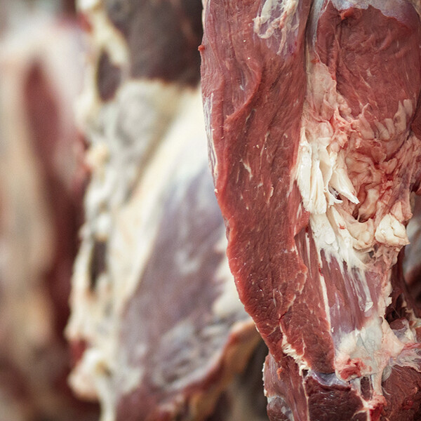 Macello | Filiera Carni FVG